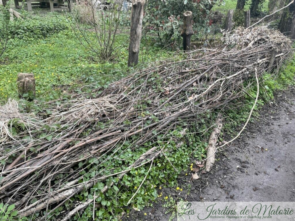 Haies sèches, palissades de Branchages - Les Jardins de Malorie