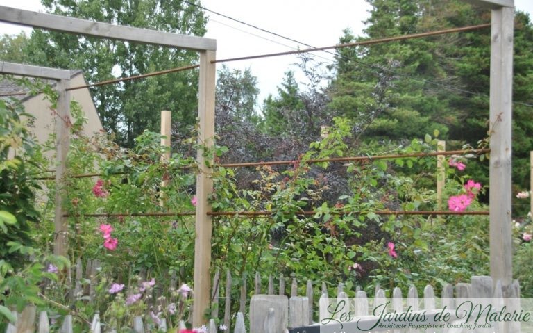 Mes structures pour les rosiers grimpants - Les Jardins de Malorie