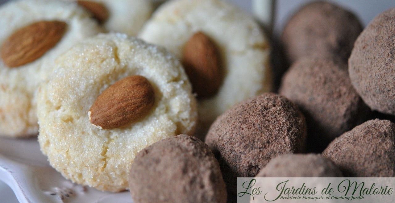 Gourmandises : Biscuits aux amandes - Les Jardins de Malorie
