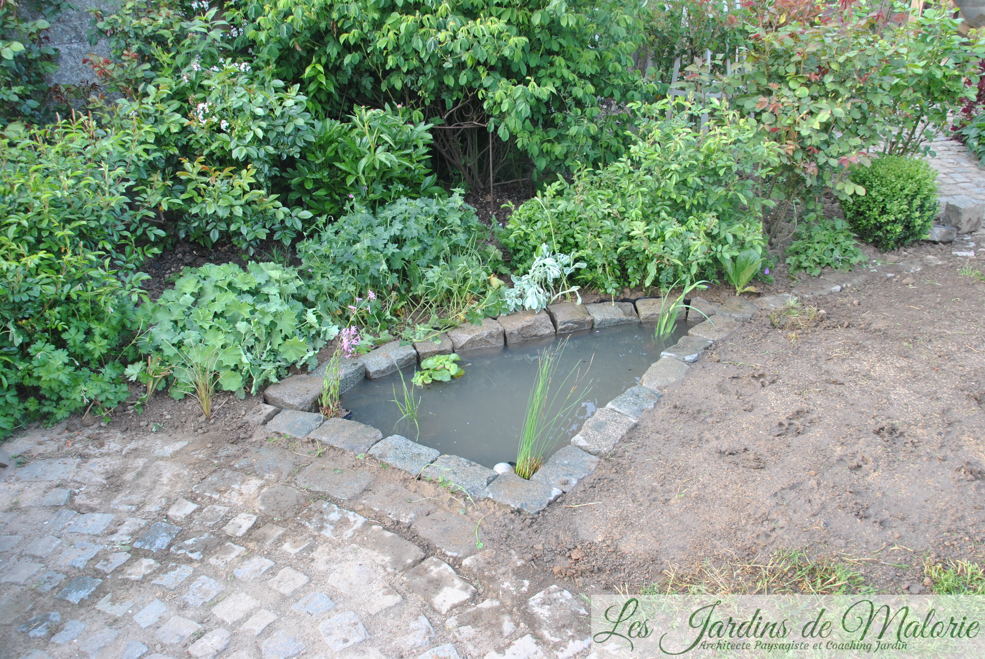 point d'eau - Les Jardins de Malorie