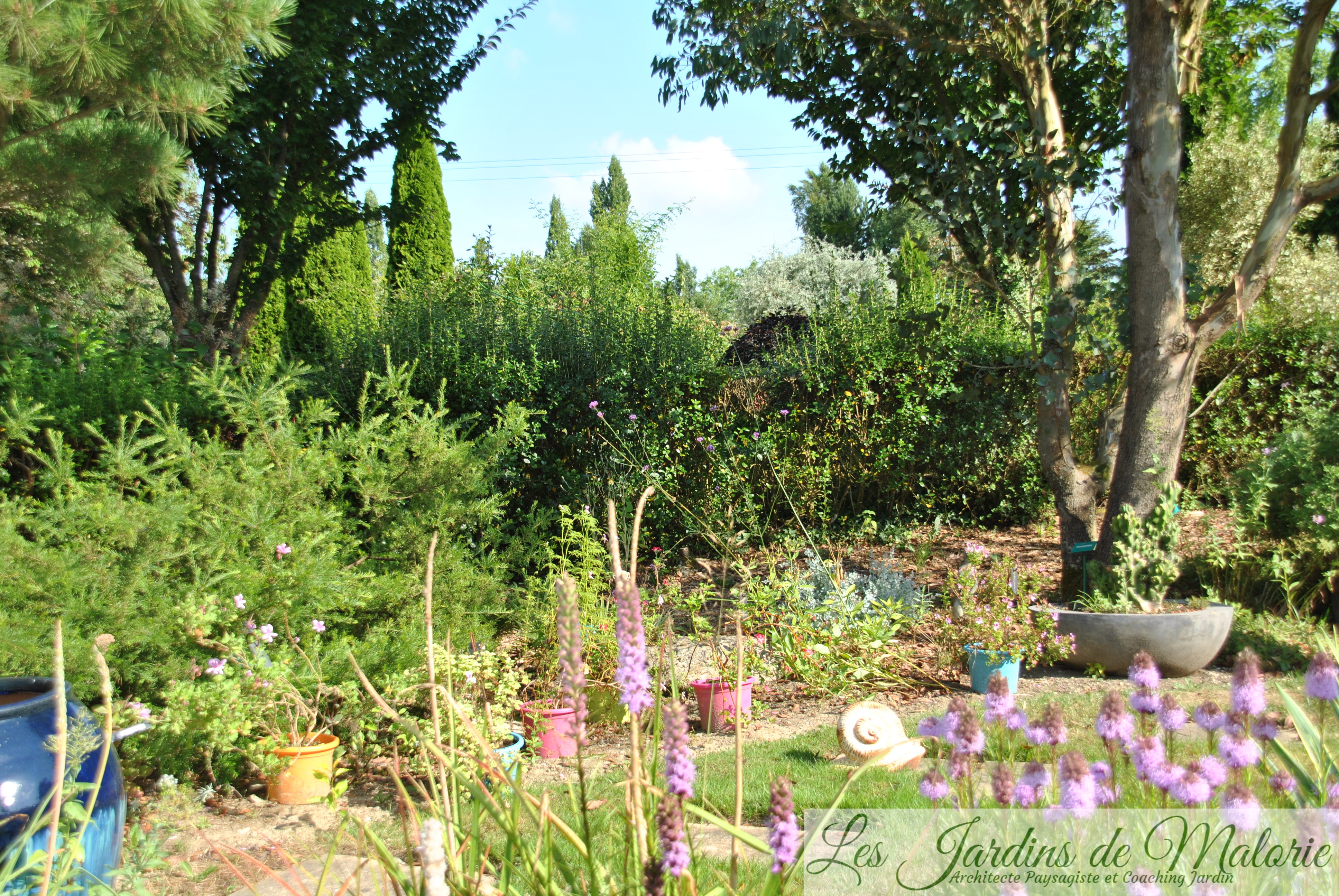 DSC_0804 - Les Jardins de Malorie