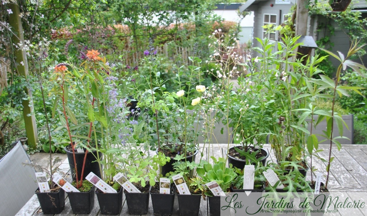 Beervelde: le butin! - Les Jardins de Malorie