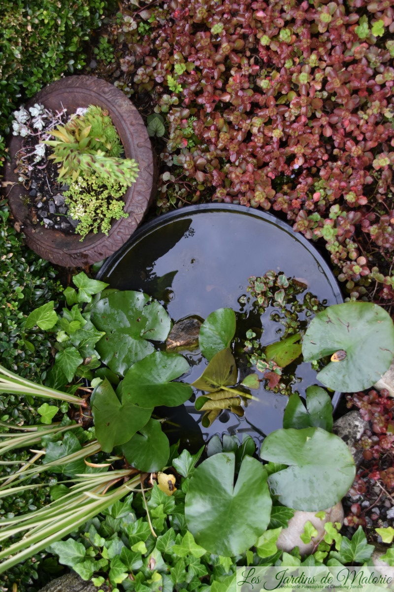 Mini bassin - Les Jardins de Malorie