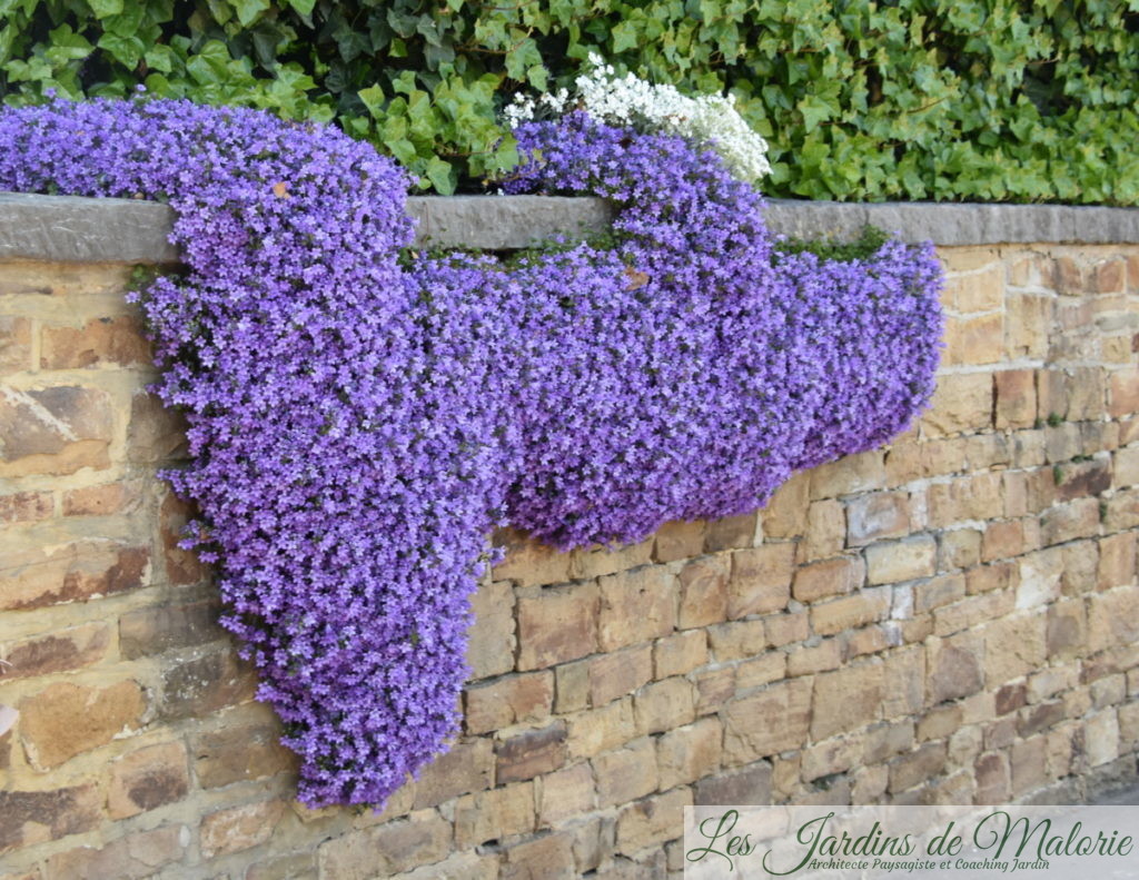 Végétaliser un muret ou une rocaille avec des vivaces - Les Jardins de ...