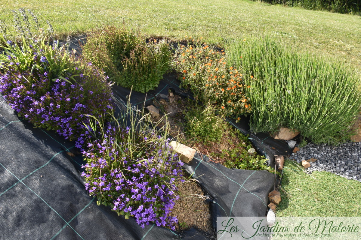 Coaching-jardin chez S.: un talus au soleil - Les Jardins de Malorie