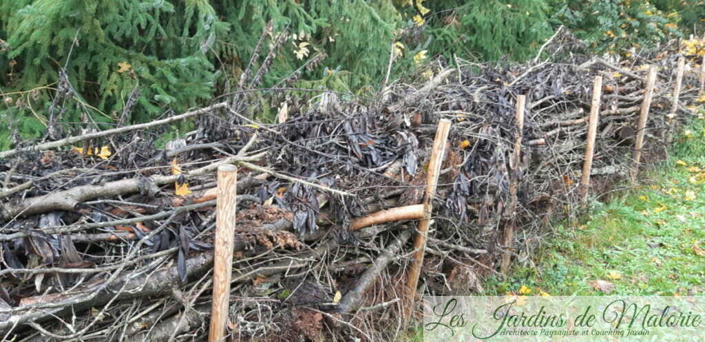Haies sèches, palissades de Branchages - Les Jardins de Malorie