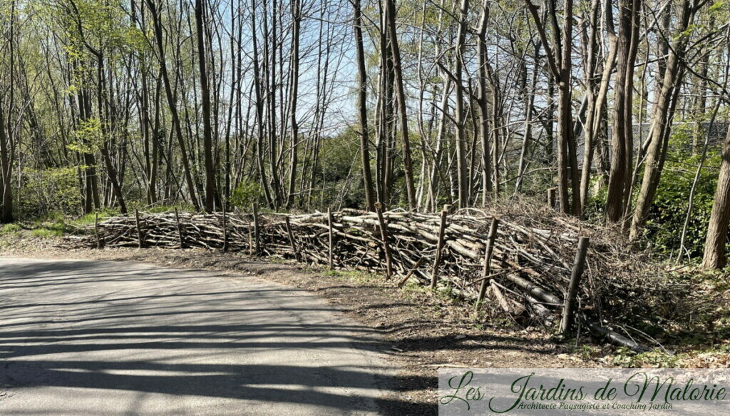 Haies sèches, palissades de Branchages - Les Jardins de Malorie