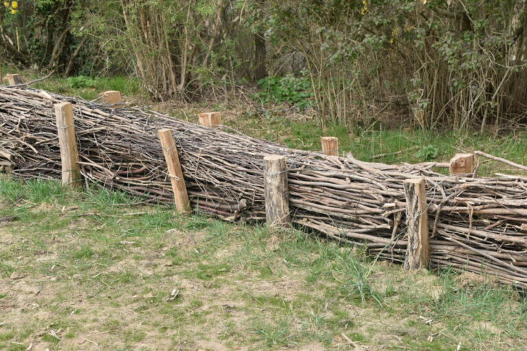 Haies sèches, palissades de Branchages - Les Jardins de Malorie