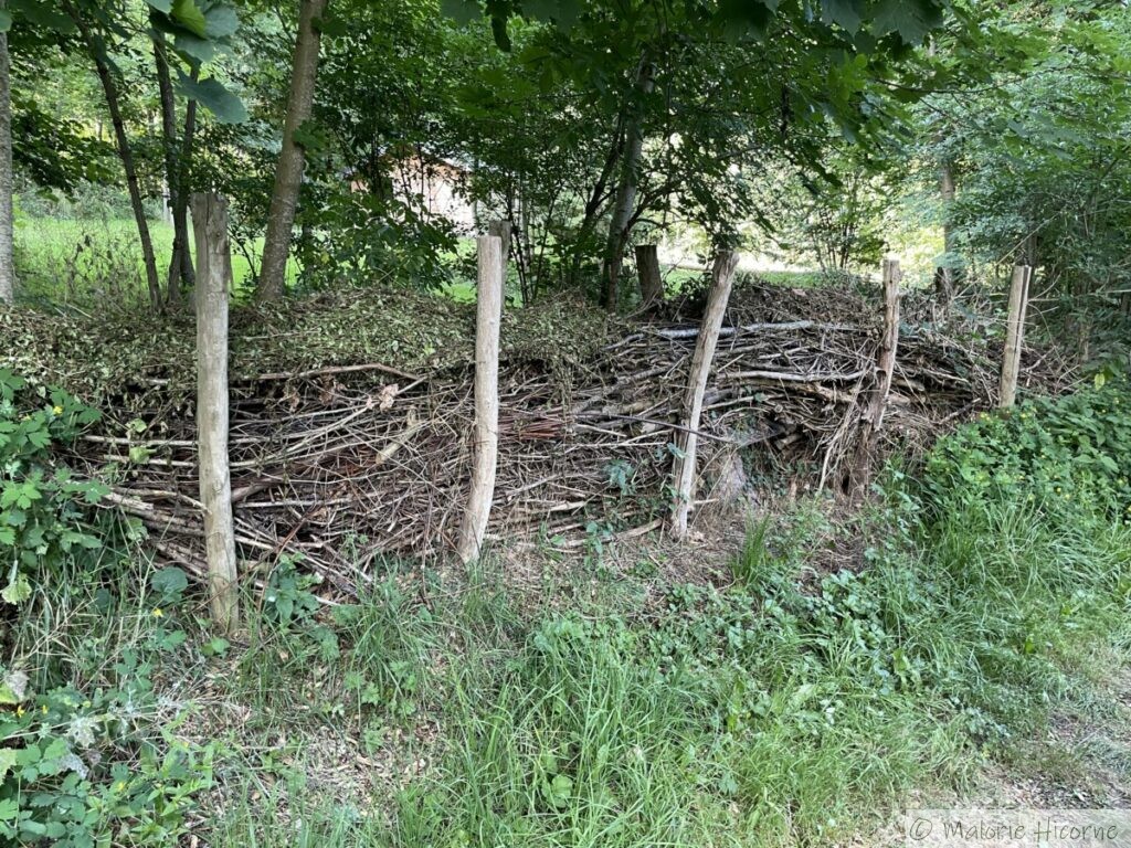 Haies sèches, palissades de Branchages - Les Jardins de Malorie